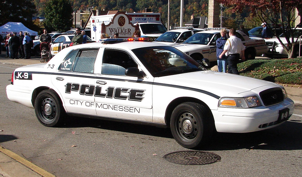 Monessen woman accused of damaging cemetery - Mon Valley Independent