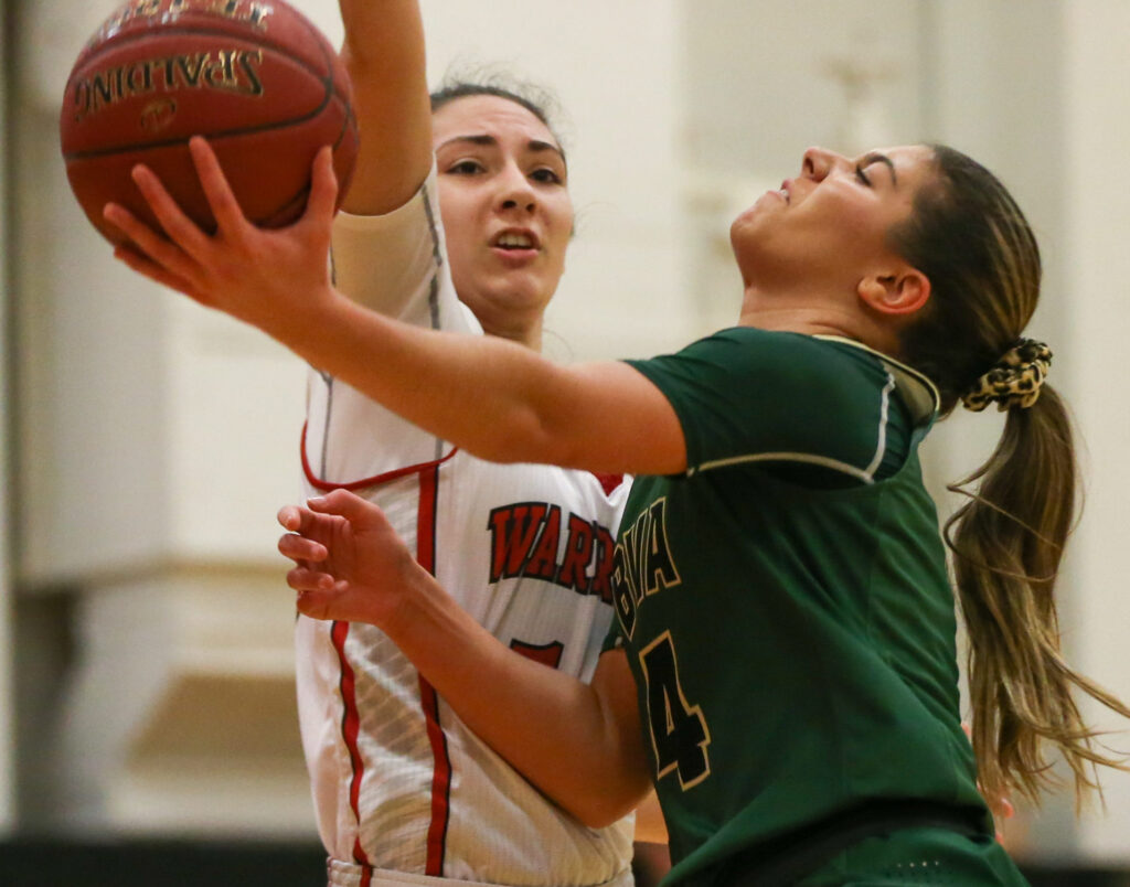 Wobrak’s career highs lead BVA over EF - Mon Valley Independent