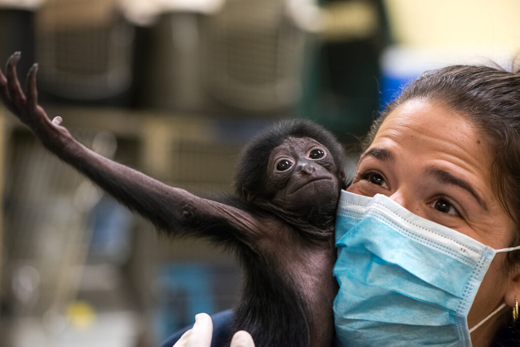 Gibbons inspire EF grad’s book - Mon Valley Independent