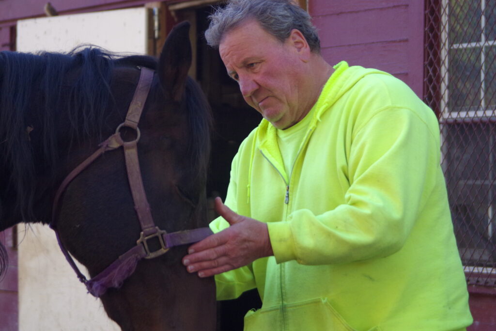 Retired police horses enjoy new life at Round Hill Park - Mon Valley ...