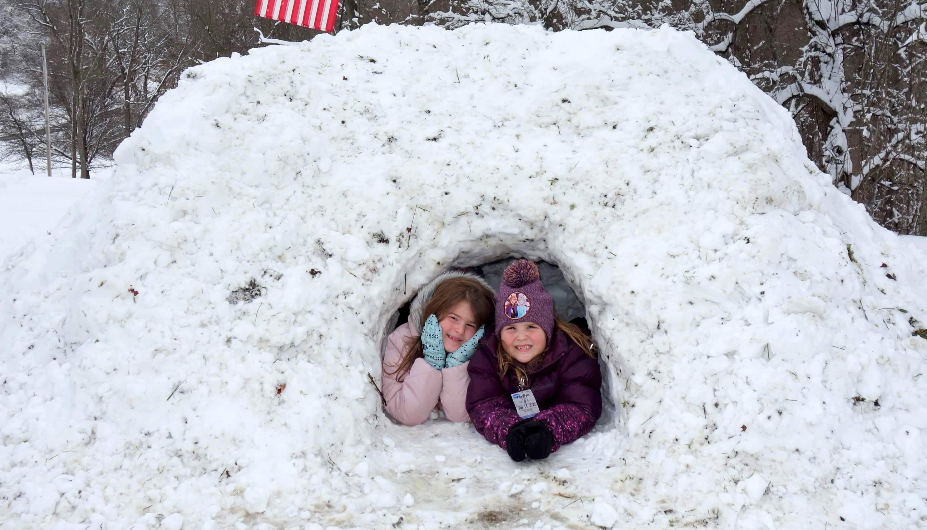 Chillin' in their igloo - Mon Valley Independent