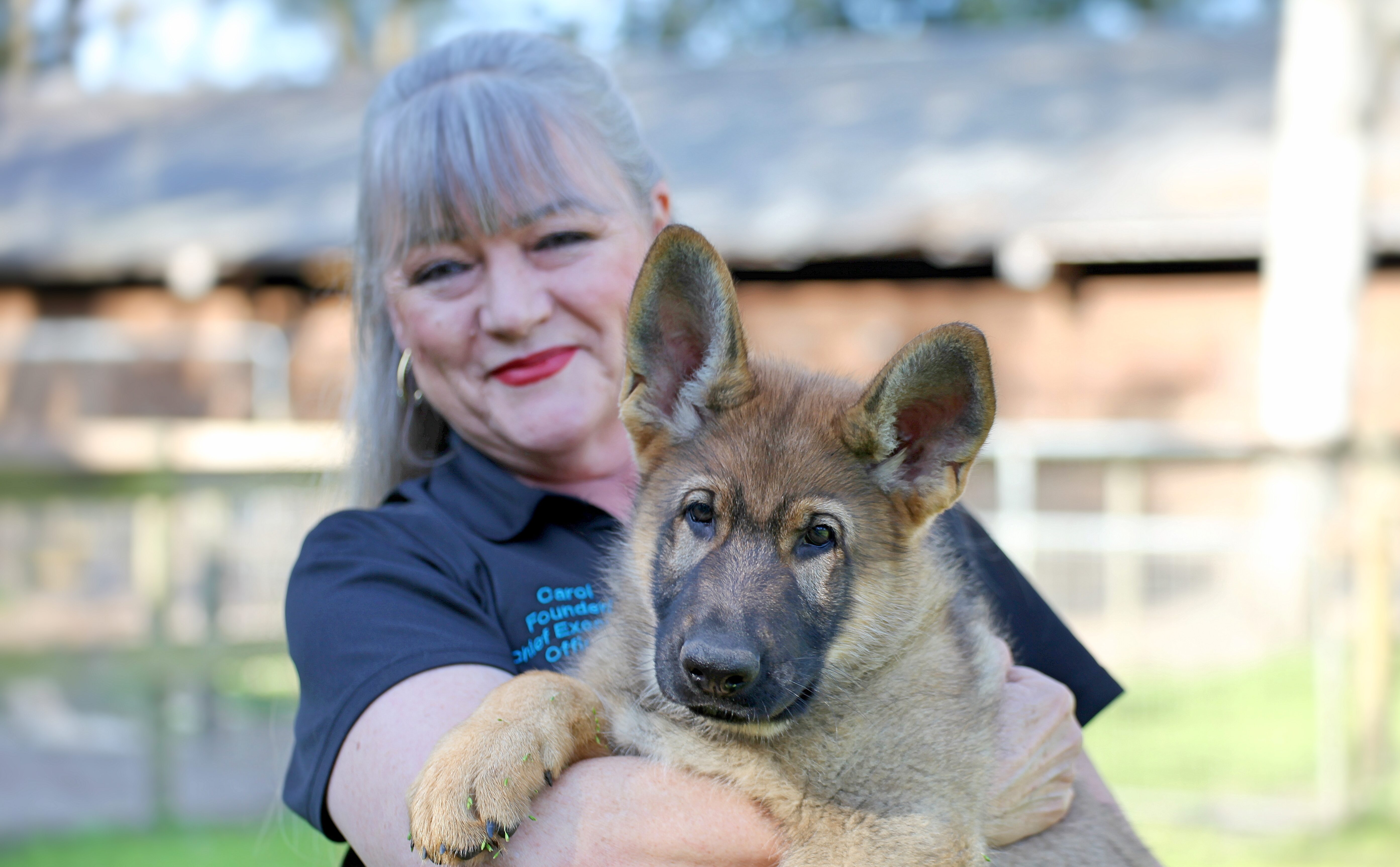 Service dog organization coming to Western Pa. - Mon Valley Independent