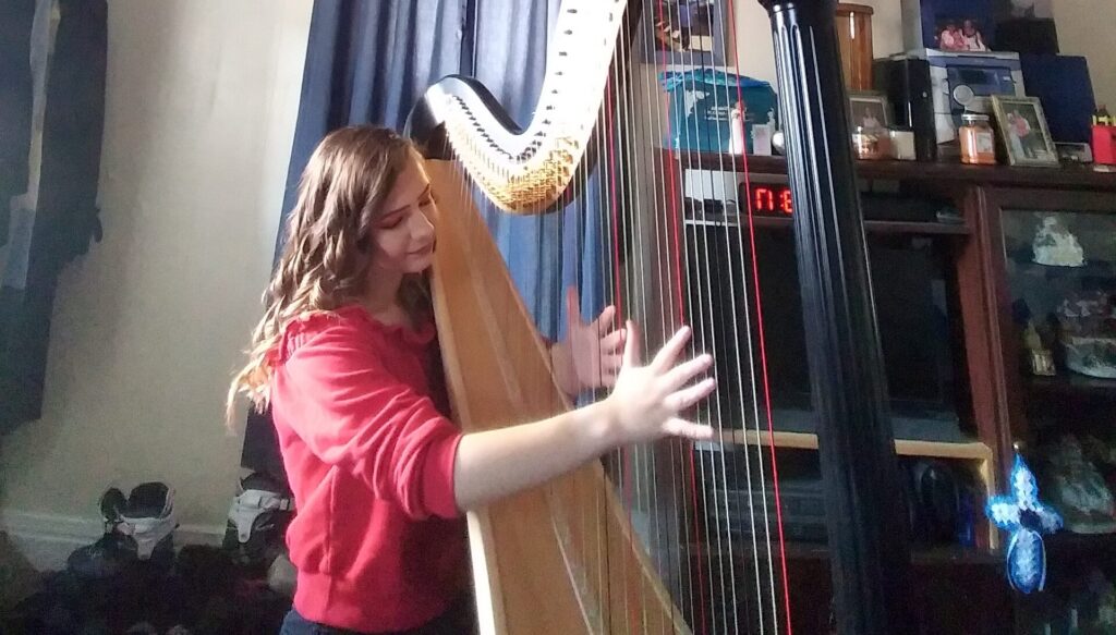 Local harpist adds modern touch to instrument - Mon Valley Independent