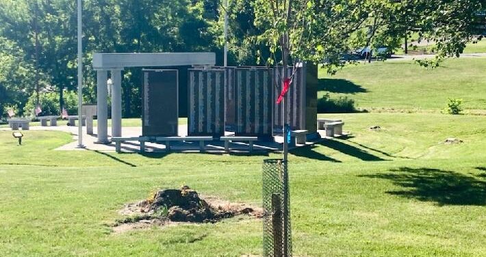 Tree saved Monessen’s World War II memorial - Mon Valley Independent