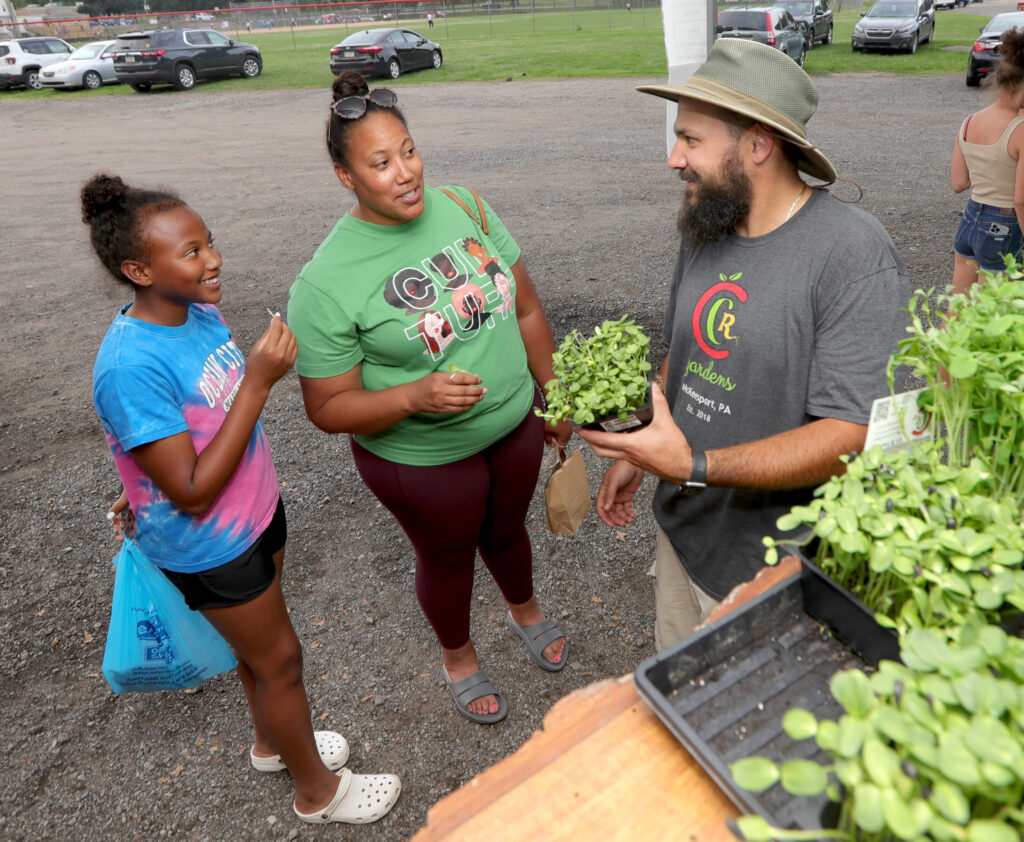 Plants for sale at Renzie Night Market - Mon Valley Independent