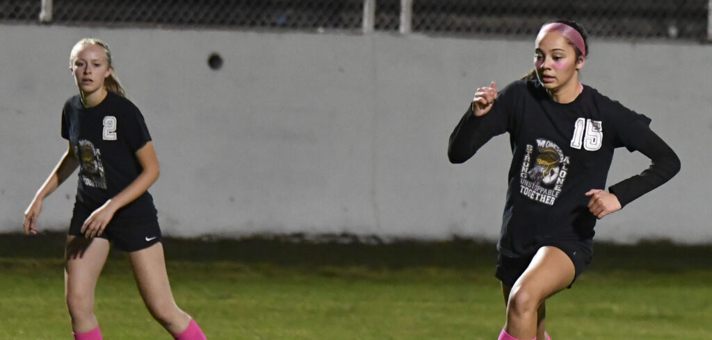 New leadership, strong talent for Monessen - Mon Valley Independent