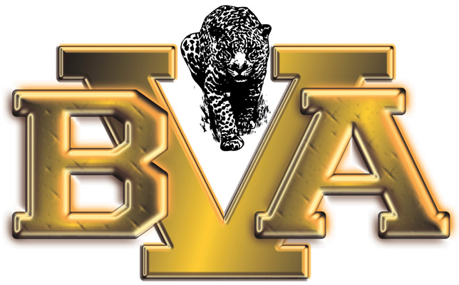 Pitt nursing students to work in BVA schools - Mon Valley Independent