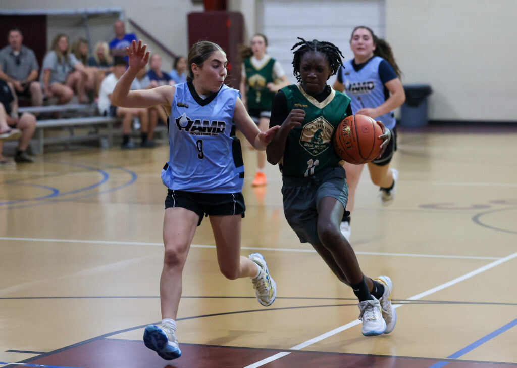 AMD Industries rules summer league again - Mon Valley Independent