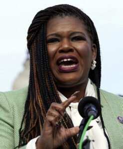 ‘Squad’ member Cori Bush loses to primary challenger - Mon Valley ...