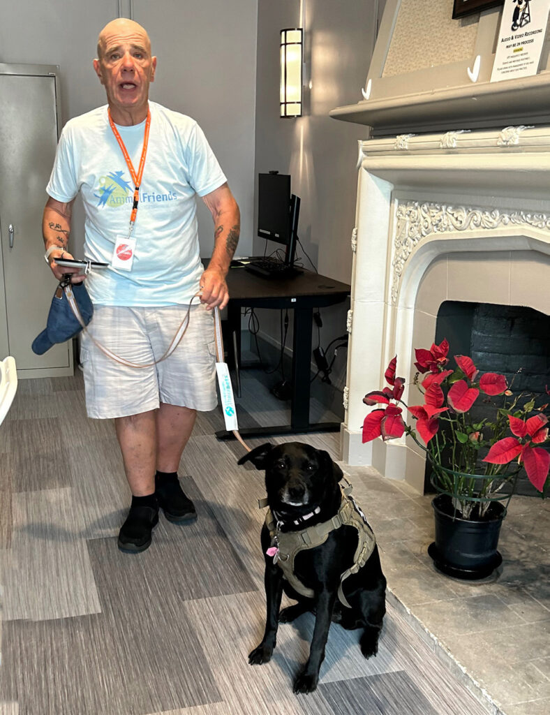 Pet owners love their ‘angels in disguise’ - Mon Valley Independent