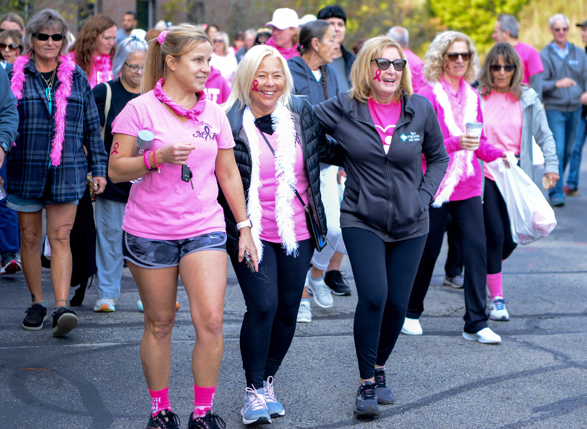 Walking to fight breast cancer - Mon Valley Independent