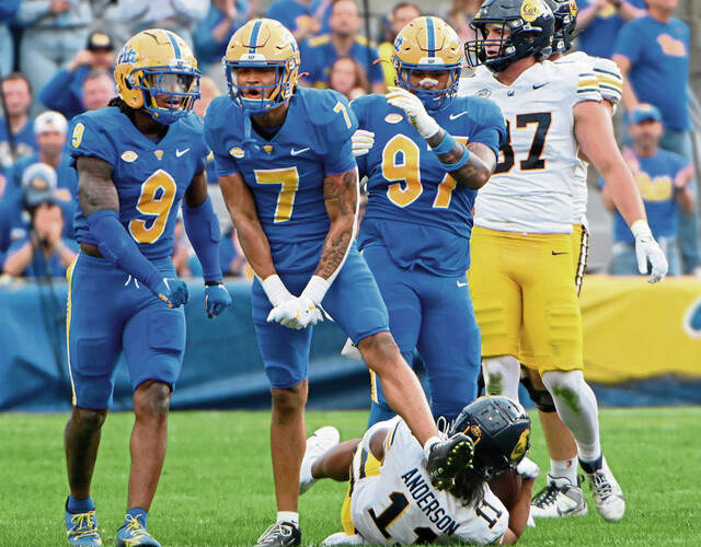 Panthers: Time to punch someone else in the mouth - Mon Valley Independent