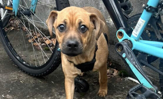 Emil P. Hruby - Rostraver Township - Mon Valley Independent