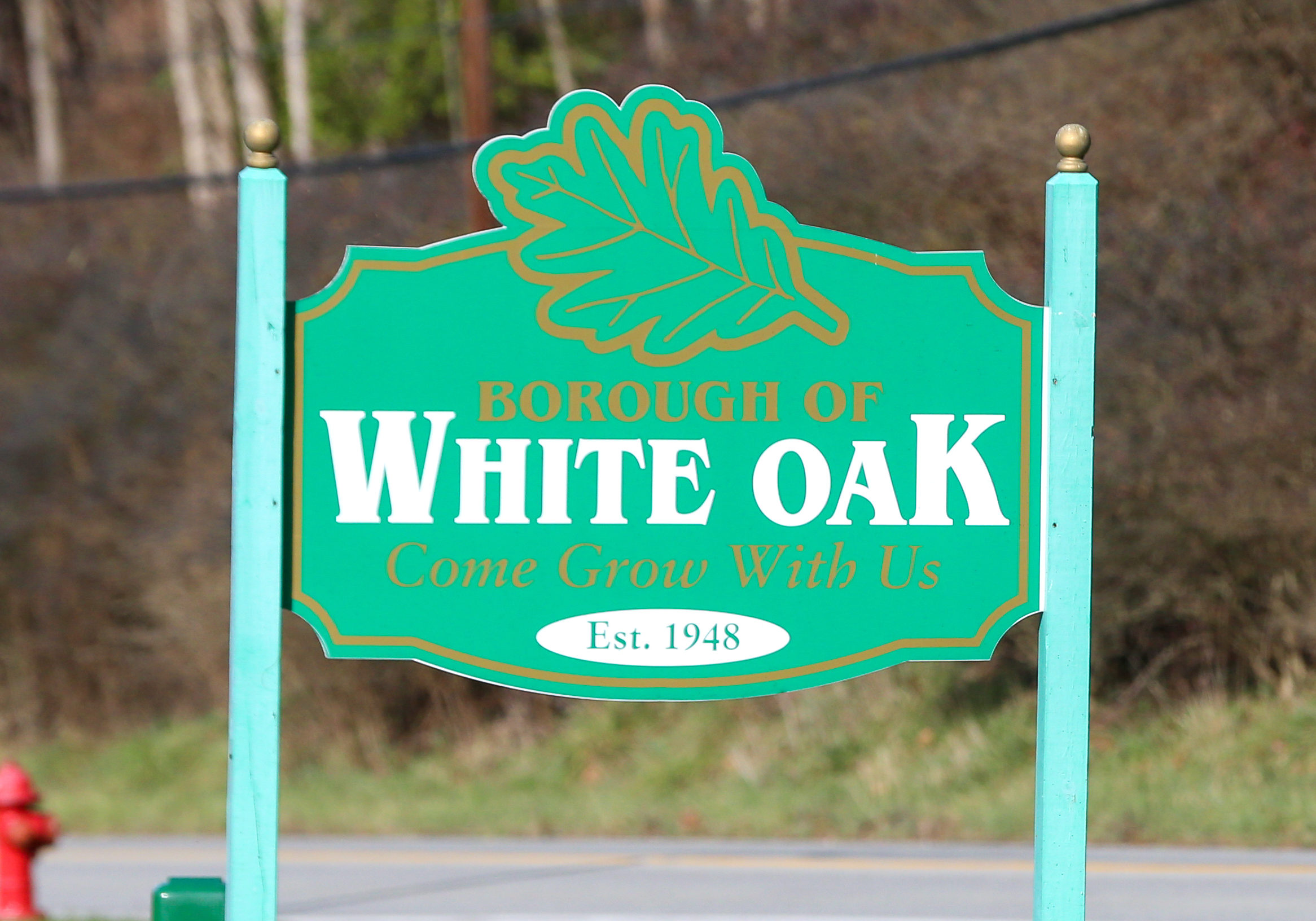 White Oak may create advisory committee for recreation issues - Mon Valley Independent