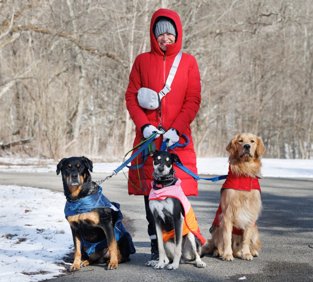 WINTER WALK - Mon Valley Independent