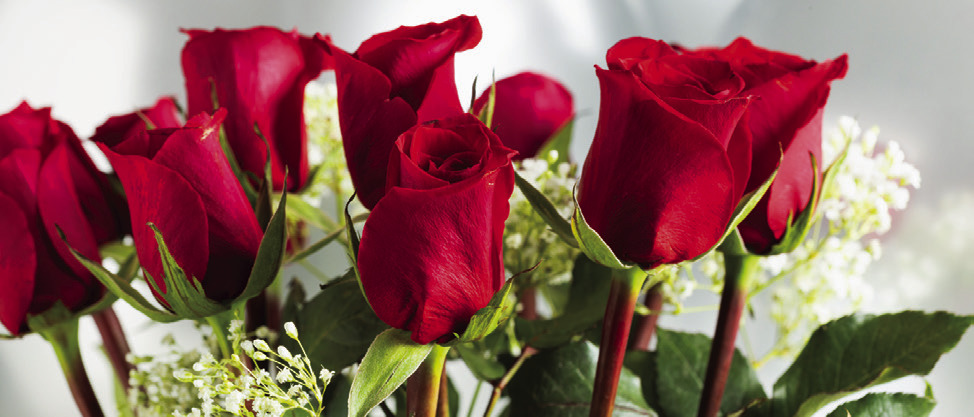 How to make your Valentine’s Day roses last longer - Mon Valley Independent