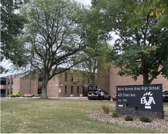 BVA reports second case of whooping cough - Mon Valley Independent