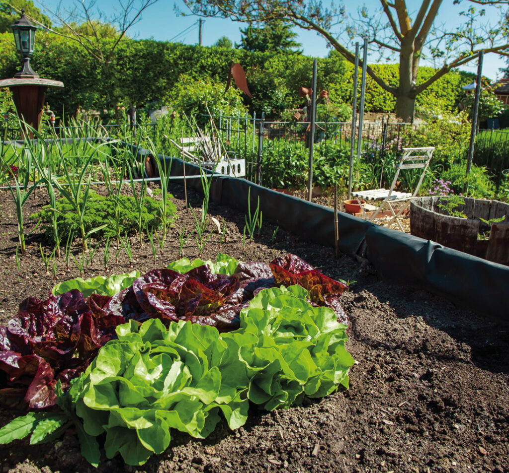 Spring food trends that are actually worth trying - Mon Valley Independent