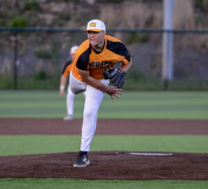 Metz’s arm leads Jaguars to quarterfinals - Mon Valley Independent