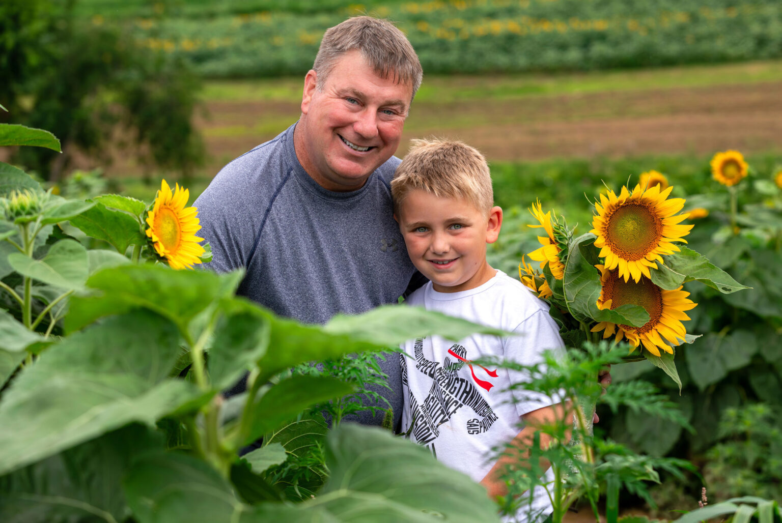 Opening day at Schwirian Sunflower Festival in Forward Township - Mon ...