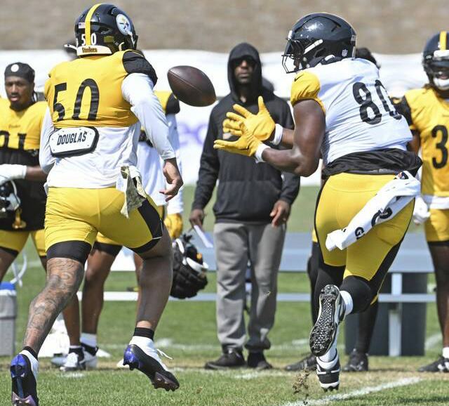Range of possibilities endless for Steelers’ Washington - Mon Valley ...