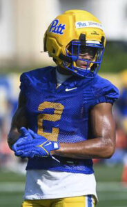Expectations high for Pitt receivers this fall - Mon Valley Independent