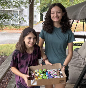 Local girls express artistic talents with rocks - Mon Valley Independent