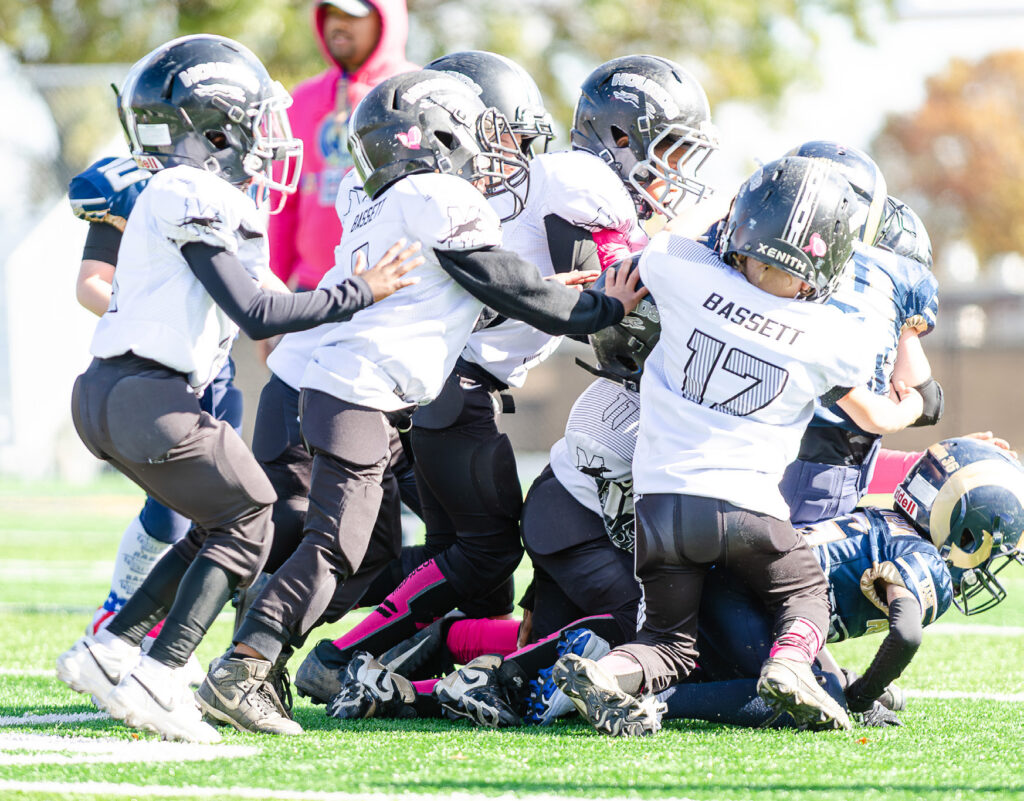 SPORTS SNAPSHOTS - Mon Valley Independent