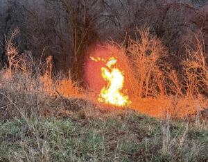 Saturday storm triggers grass fire - Mon Valley Independent