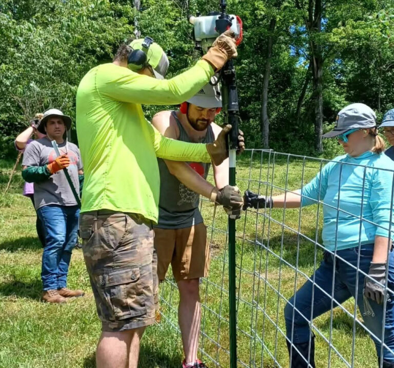 Rescue groups, volunteers work to give animals seized a second chance ...