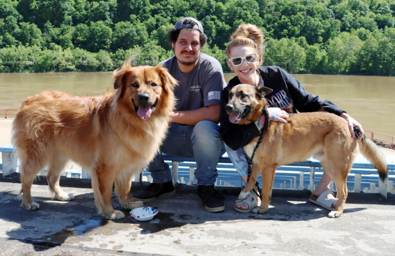 Mon Valley dogs show off at Mutt March - Mon Valley Independent